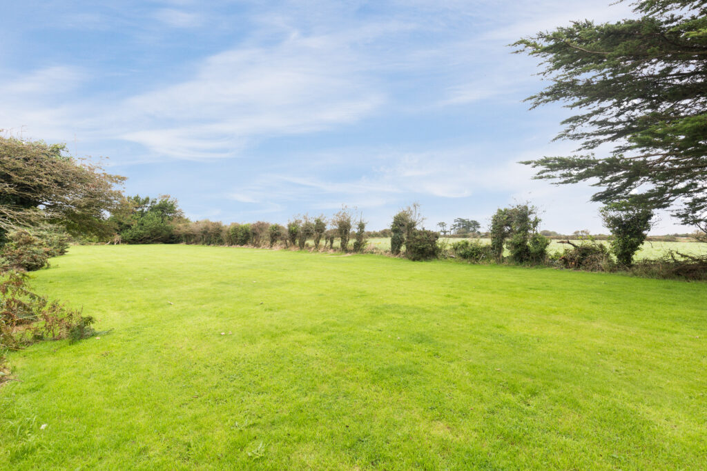 Tagoat-4 - Kehoe & Assoc